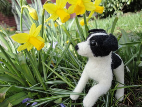 Wall-e the miracle dog –adopted | KiyomiQ.com Handcrafted Goods